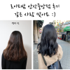 중앙동미용실 로이드밤 안산중앙점 염색 후기내돈 네이버 블로그